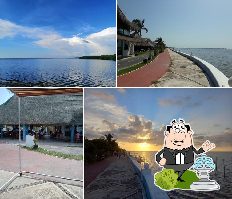 Restaurante El pargo, Campeche - Menú del restaurante, precios y reseñas