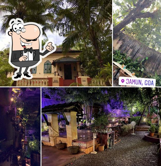 Jamun Goa, Assagao - Restaurant menu and reviews