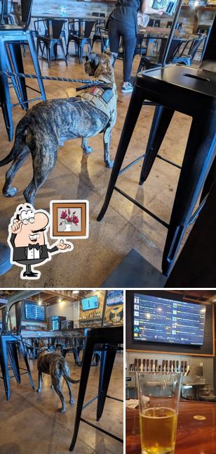 Village Roots Deli & Taproom, Fallbrook - Restaurant menu, prices and ...