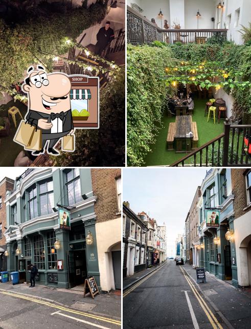 The Walrus, Brighton - Restaurant menu, prices and reviews