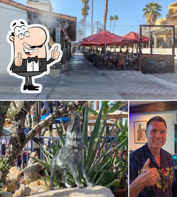 Blue Coyote Grill, Palm Springs - Restaurant menu, prices and reviews