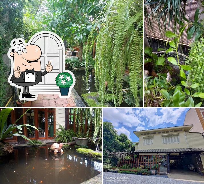 Tree Story Home Cafe, Bangkok - Restaurant menu, prices and reviews
