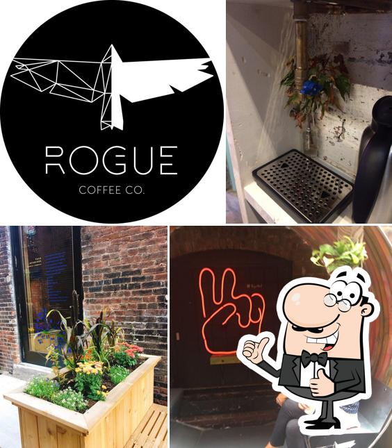 Rogue Coffee in Saint John - Restaurant reviews