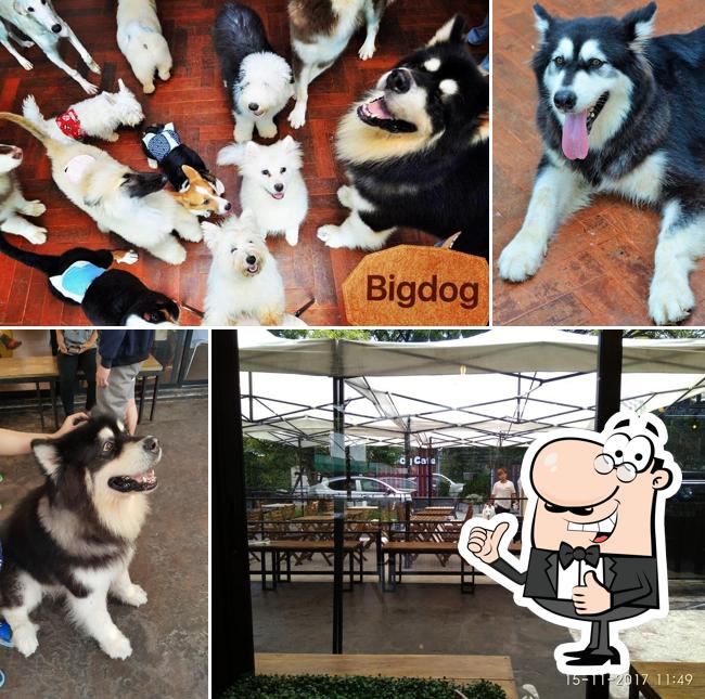 Big Dog Café cafe, Bangkok - Restaurant reviews