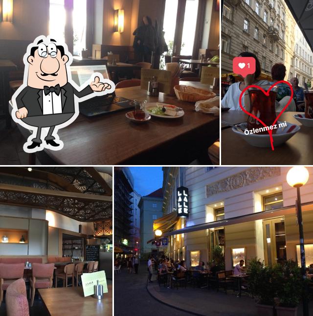 Lale Restaurant, Vienna, 647/2 - Restaurant menu and reviews