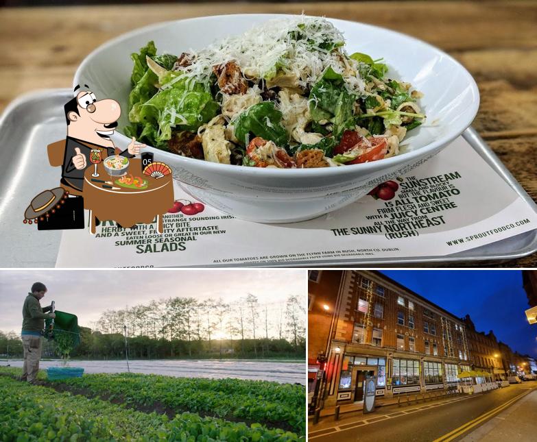 Sprout & Co Exchequer St, Dublin - Restaurant menu, prices and reviews
