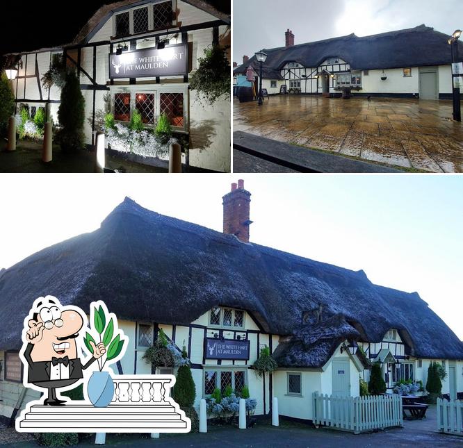 The White Hart at Maulden, Maulden - Restaurant menu, prices and reviews