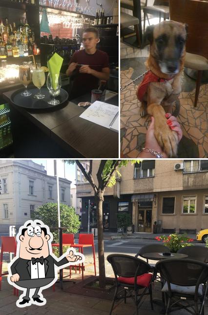 NORMA caffe bar, Belgrade - Restaurant reviews