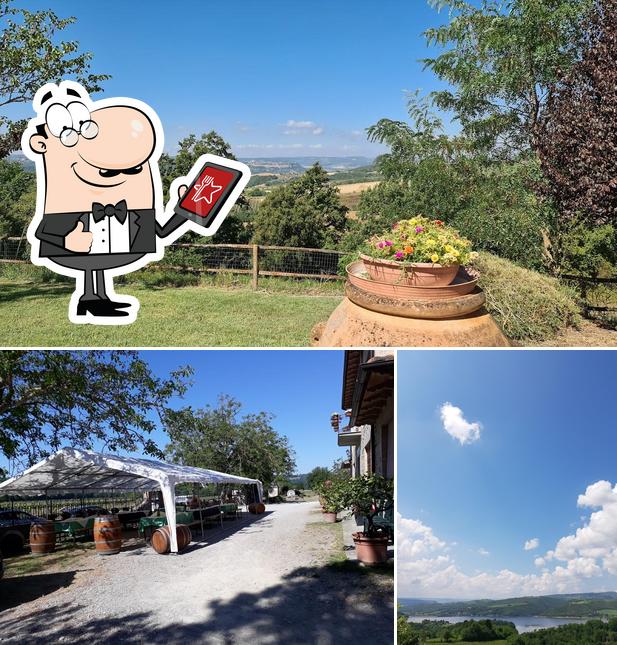 Tenuta di Corbara, Italia - Restaurant reviews