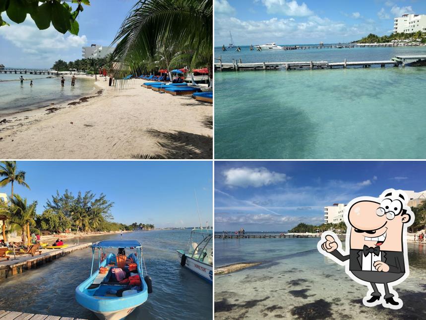 Playa Tiburón, Isla Mujeres - Menú del restaurante, precios y reseñas