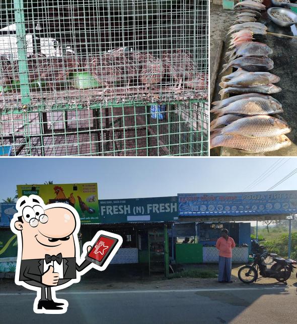 Fresh N Fresh Chicken Mutton Stall, Coimbatore - Restaurant reviews