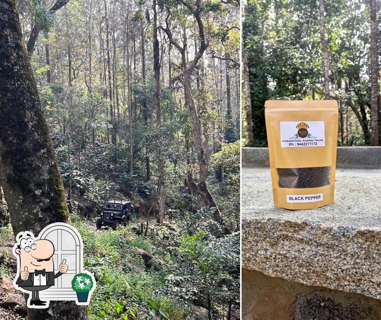 Highfield yercaud, Salem - Restaurant menu, prices and reviews