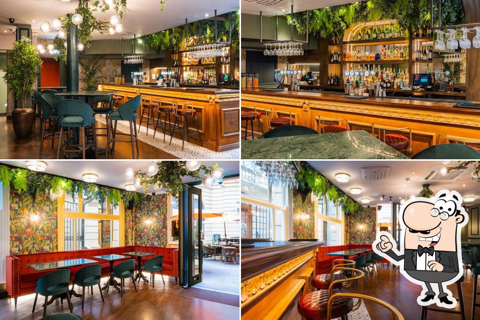 Andrea Adam's Court, London - Restaurant menu, prices and reviews