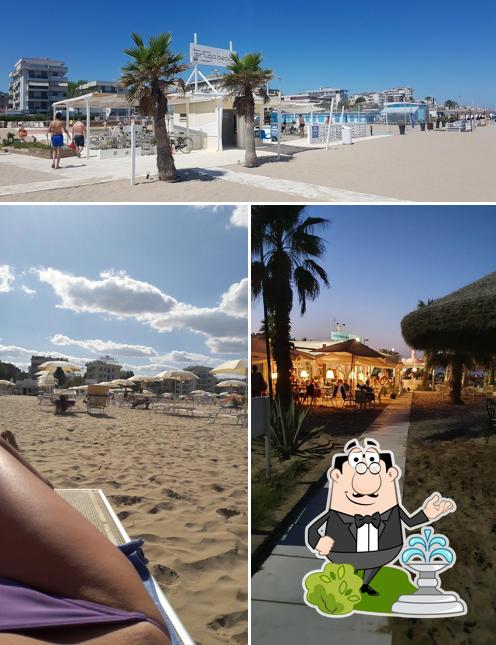 Tortuga Beach pub & bar, Rimini - Restaurant reviews