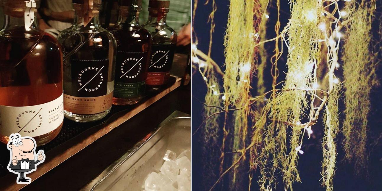 The Swamp, Melbourne - Restaurant menu, prices and reviews