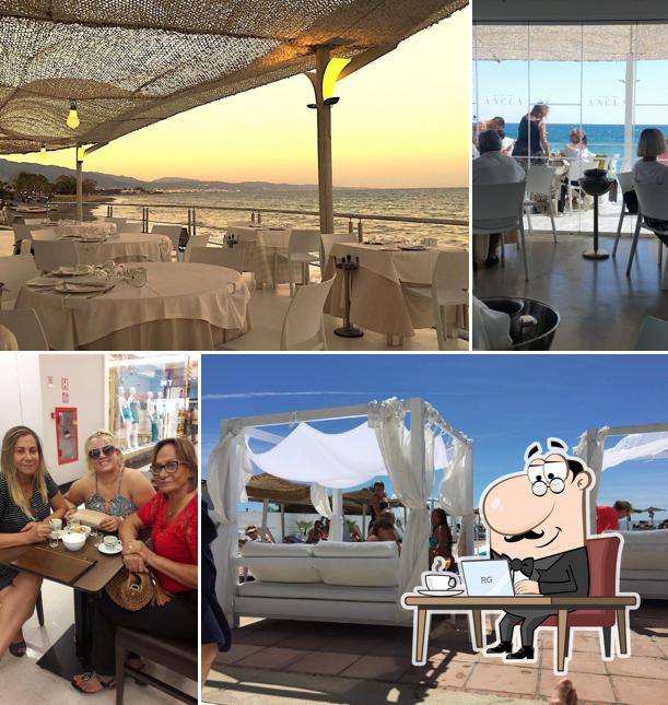 Pub y bar Marisquería El Ancla, Marbella - Opiniones del restaurante