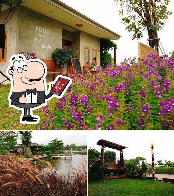 Fin the Farm restaurant, Nakhon Pathom - Restaurant reviews
