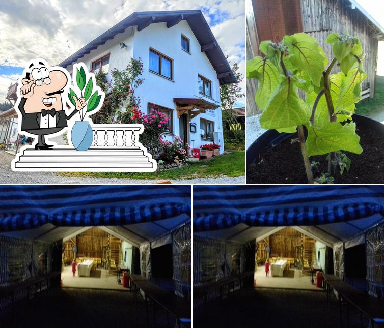 Rupert Forster Gaststätte restaurant, Leiblfing - Restaurant reviews