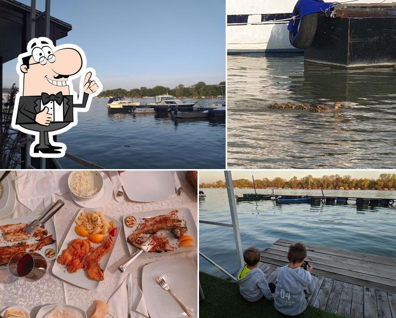 Skorpion splav, Belgrade - Restaurant menu, prices and reviews