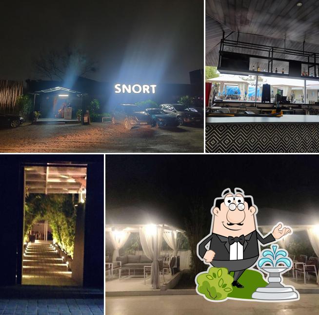 Snort - Pub & Night Club in Madhapur Hyderabad, Hyderabad - Restaurant ...