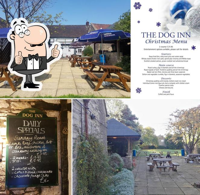 The Dog Inn in Yate - Restaurant reviews