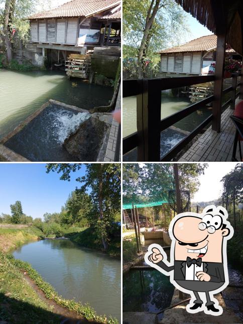 Ribnjak "Mrčić", Šušeoka - Restaurant menu, prices and reviews