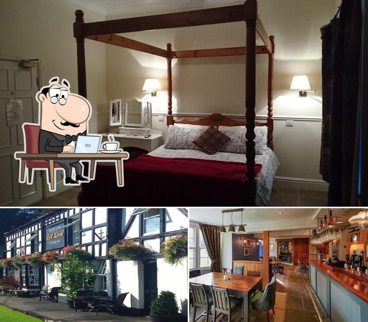 The Red Lion Coaching Inn, Redbourne - Restaurant menu, prices and reviews
