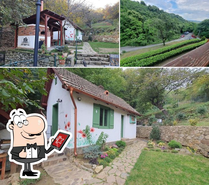 Roca Brună, Păuliș - Restaurant menu, prices and reviews