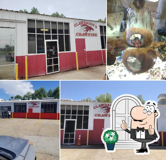 Claw Daddy's, Gulfport - Restaurant menu, prices and reviews
