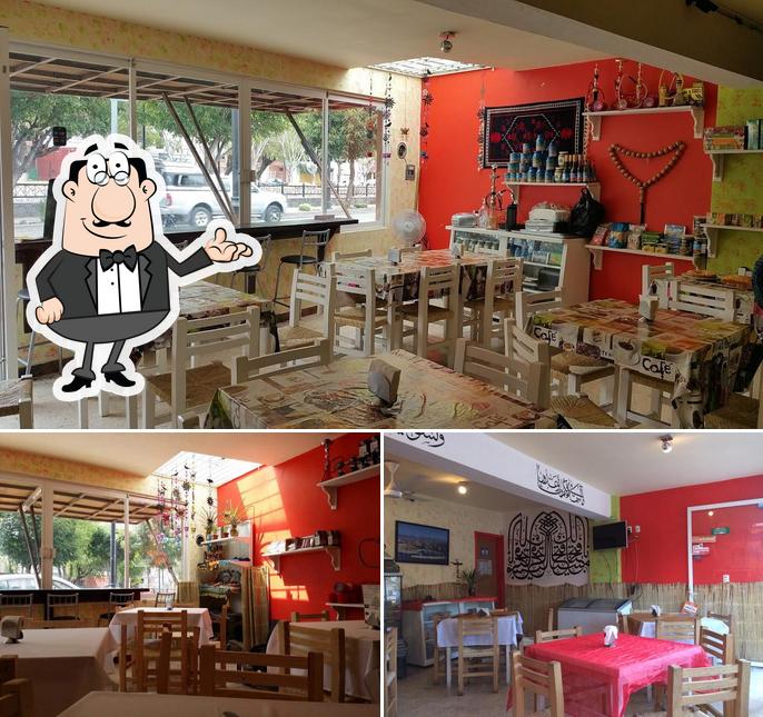 Falafel Express restaurant, Santiago de Querétaro - Restaurant reviews