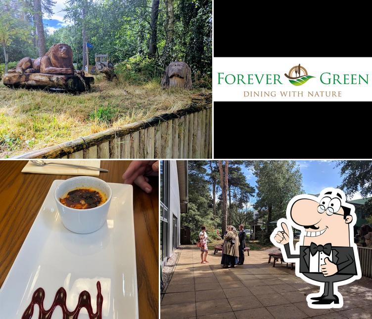 Forever Green Restaurant in Mansfield - Restaurant reviews