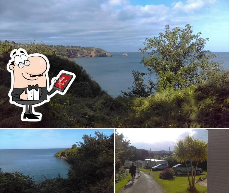 The Three Elms Inn in Brixham - Restaurant reviews