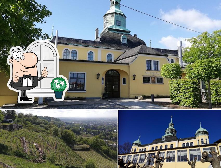 Spitzhaus, Radebeul - German restaurant menu and reviews