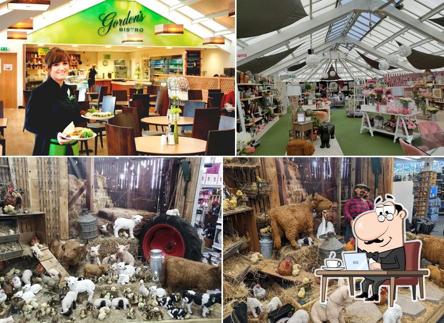 Gordon Rigg Garden, Home & Leisure (Rochdale) & Gordon's Bistro in ...