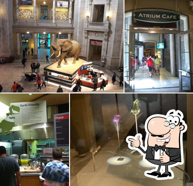 National Museum Of Natural History Cafe in Washington - Restaurant reviews