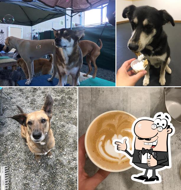 Cups & Pups! in Anchorage - Restaurant menu and reviews
