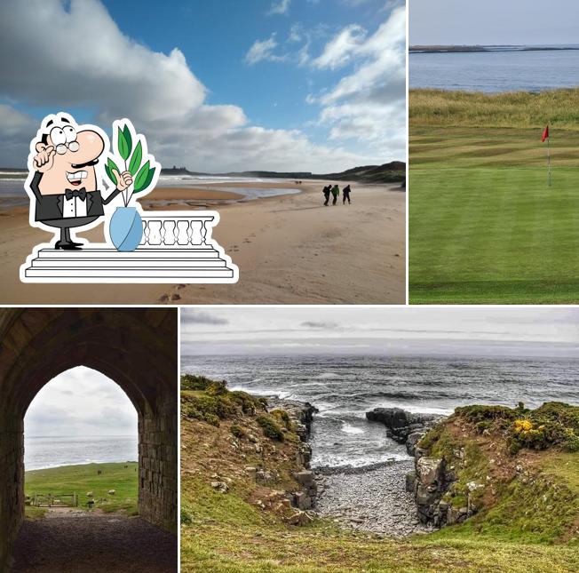Dunstanburgh Castle Golf Course in Embleton - Restaurant menu and reviews