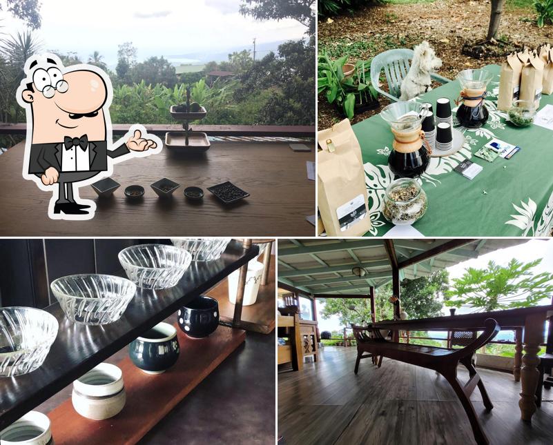 Top 5 restaurants in Captain Cook, february 2026 - Restaurant Guru