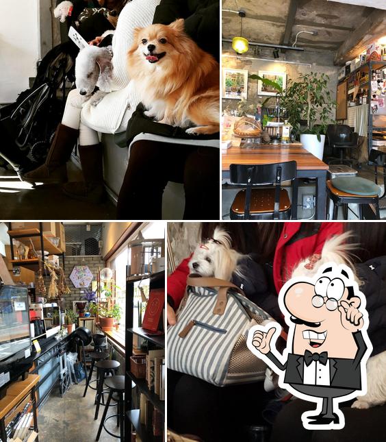 Berkeley Coffee Social cafe, Seoul - Restaurant reviews