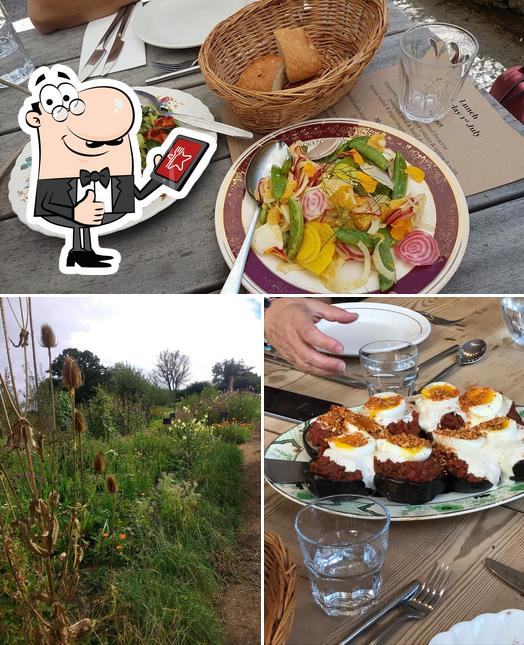 Riverford Field Kitchen - Organic Restaurant in Buckfastleigh ...