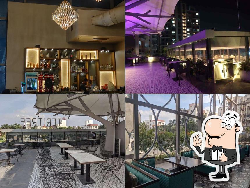 TERITREE Restaurant, Pune - Restaurant menu, prices and reviews