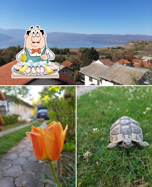 Ресторан „Рајска градина“, Slivnica - Speisekarte, Preise und Bewertungen
