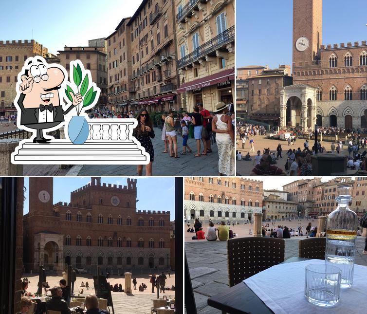 Il Campo restaurant, Siena, Il Campo - Restaurant reviews