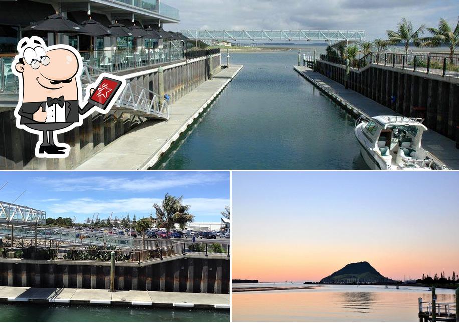 Nautilus Buffet Restaurant & Bar, Tauranga - Restaurant menu, prices ...
