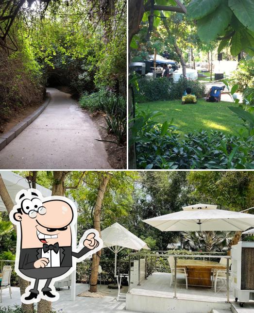 The Farm Restaurant, Al Barari, Dubai - Restaurant menu, prices and reviews