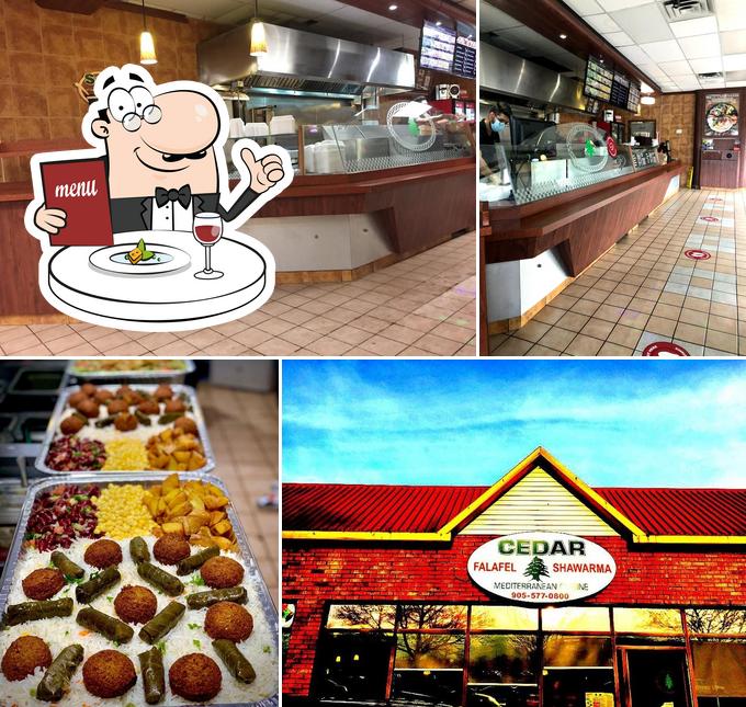 Cedar Falafel & Shawarma in Hamilton - Restaurant reviews
