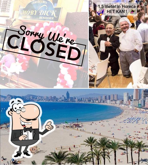 Bar Moby Dick in Benidorm - Restaurant reviews