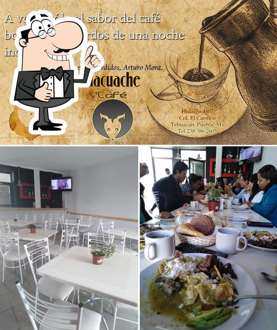 Tlacuache Café, Tehuacán - Restaurant reviews