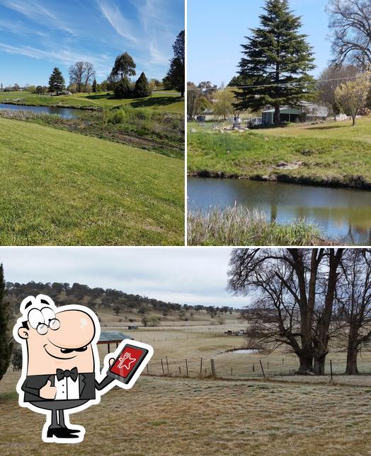 Walcha Bowling & Recreation Club, Walcha - Restaurant menu, prices and ...