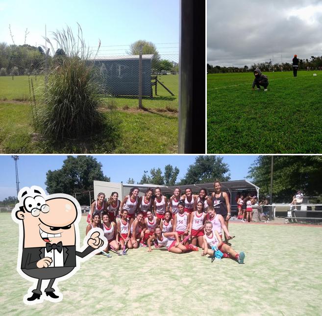 Progress Rugby Club Atletico Y, Brandsen - Restaurant reviews